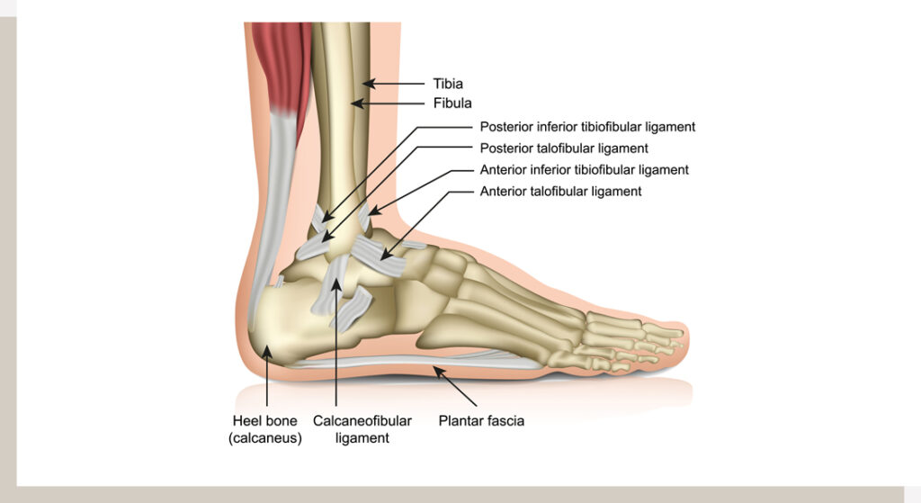 Ankle Surgery Philadelphia, PA - LALL Orthopedics